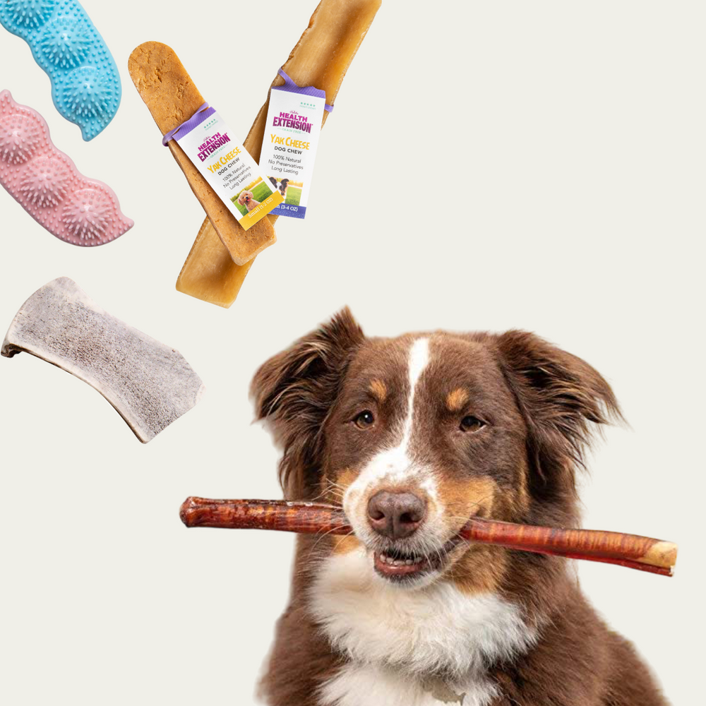 Shop Canine Corral – caninecorral